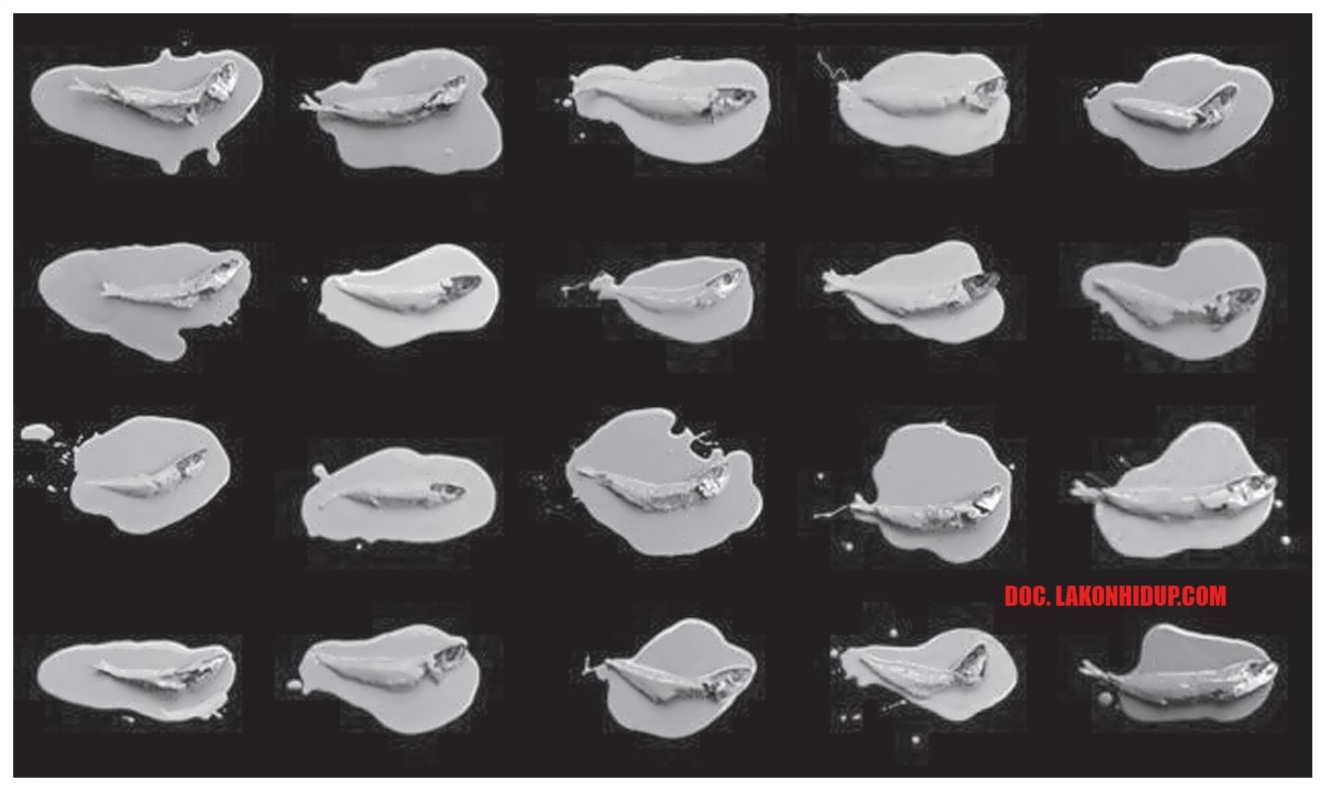Mata Buta Mutiara - Ruang Sastra